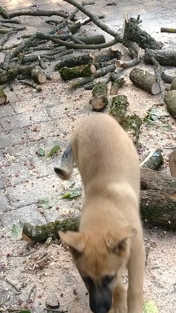 Kuharski recepti, kulinarika, foto albumi, kulinarični portal, gostilne ...