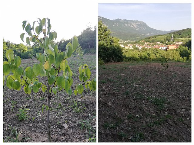 Kulinarika.net - Zid