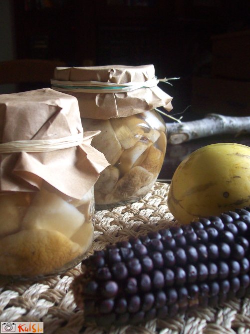 Recept: Vložene gobice - Kulinarika.net
