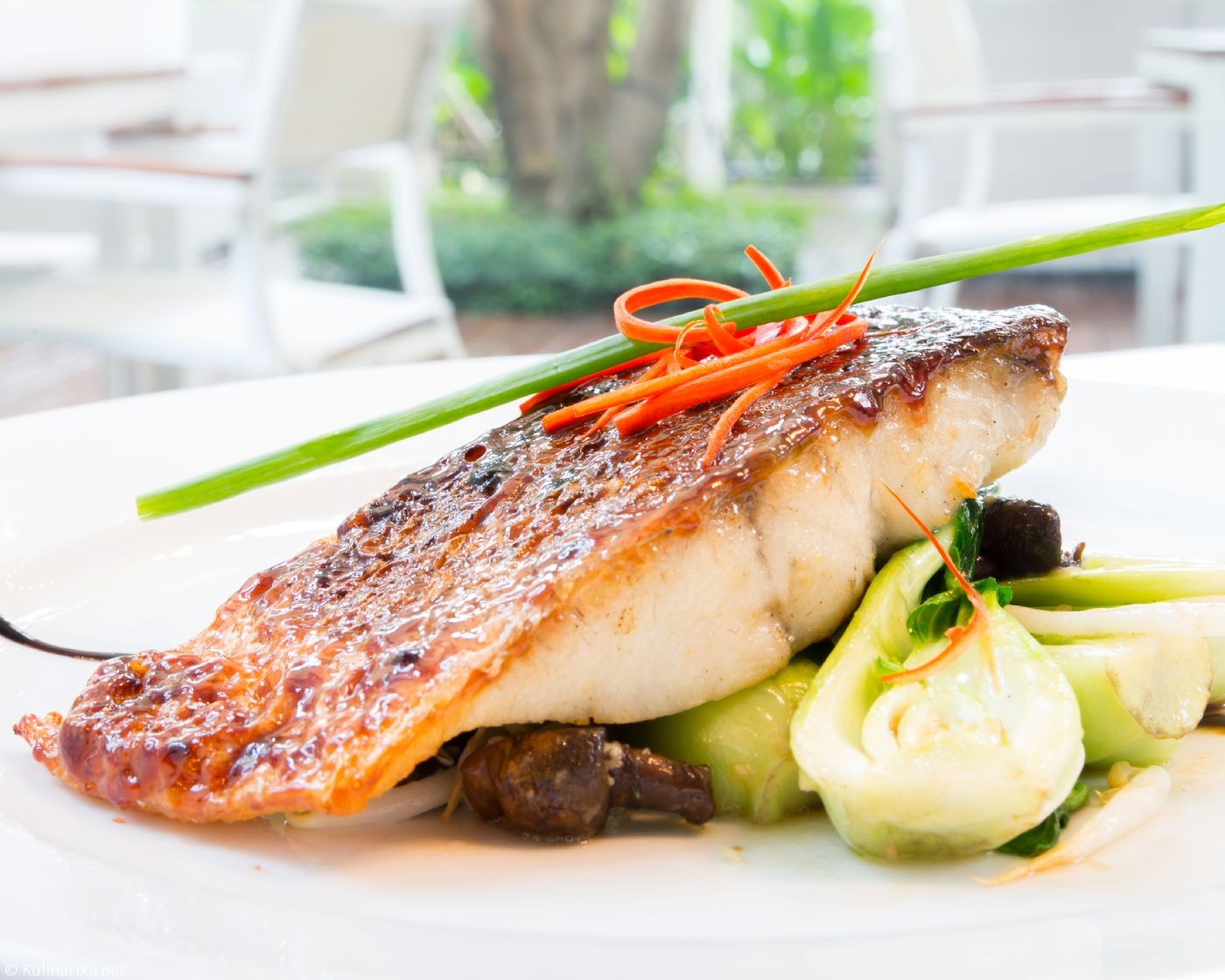 Recept: Sredozemski brancin in rebula Quercus - Kulinarika.net